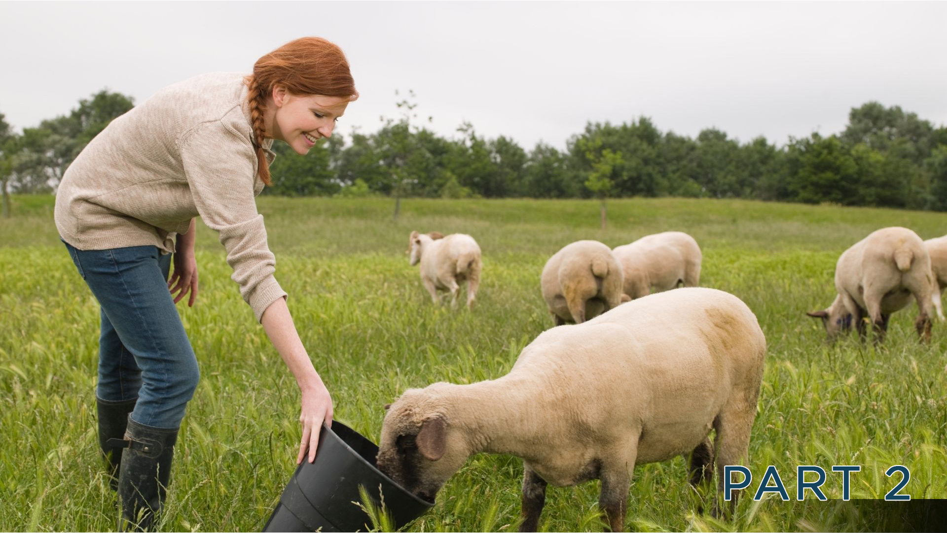 Pastoral Care – Part 2 – Eagle Worldwide Training